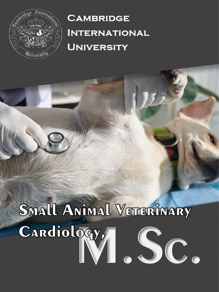 Small Animal Veterinary Cardiology M.SC | PDF | Cardiología | Sistema ...