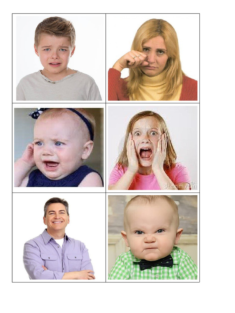Picture Emotion | PDF