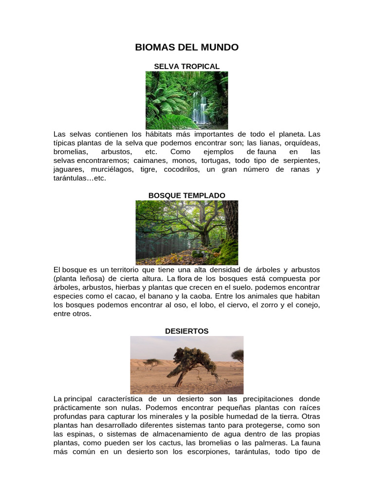 Biomas del Mundo: Tipos y Fauna | PDF | Ecología | Biogeografia