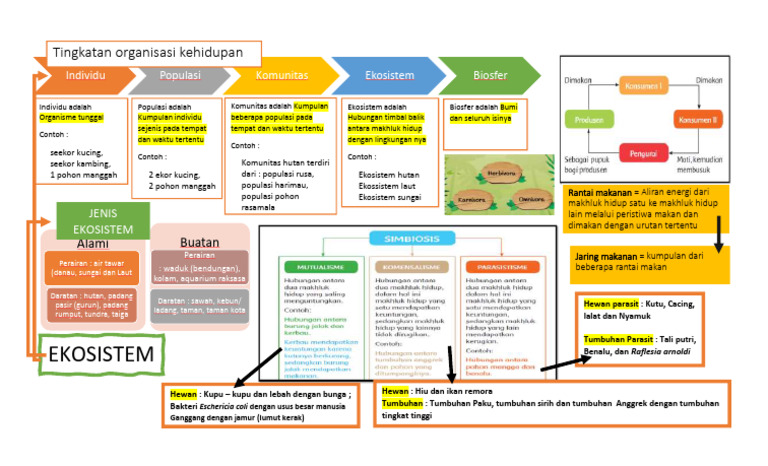 MAPPING EKOSISTEM TEMA 5 Revisi | PDF