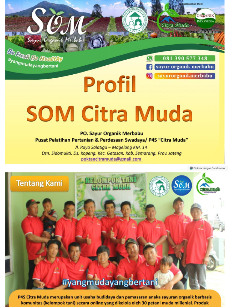 2 Profil Usaha P4S Citra Muda 2020 | PDF