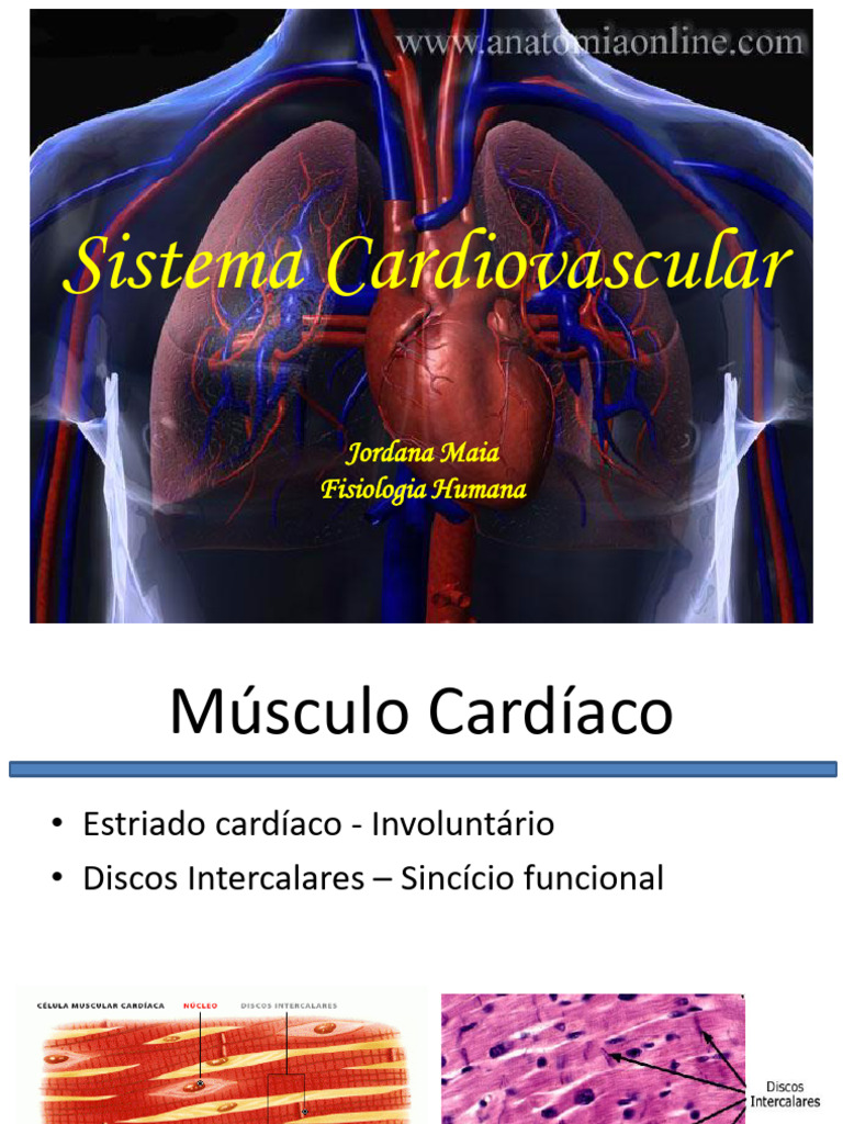 debito cardiaco e hemodinamica | PDF | Coração | Pressão sanguínea