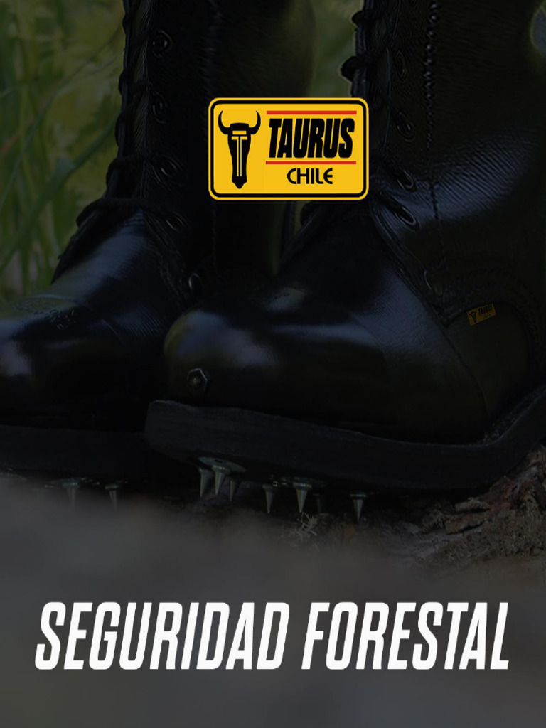 Catalogo Taurus 2023-1 | PDF