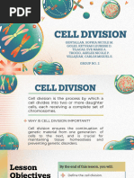 Meiosis: PMAT Stages Explained | PDF