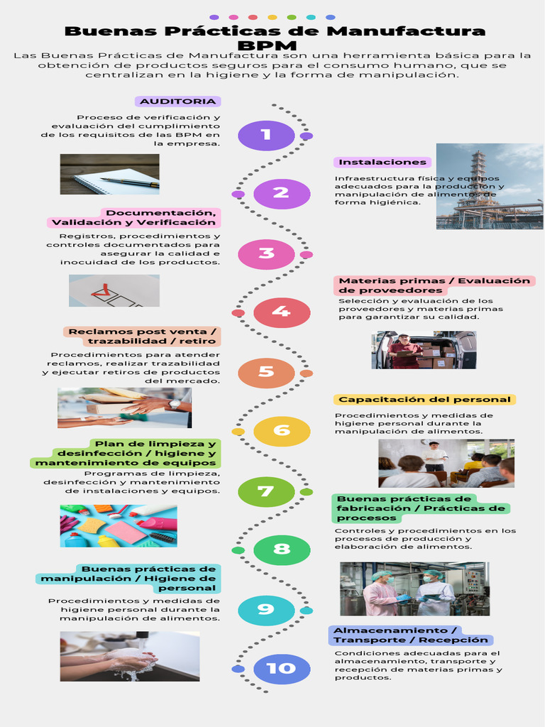 Buenas Prácticas de Manufactura | PDF | Business | Economias