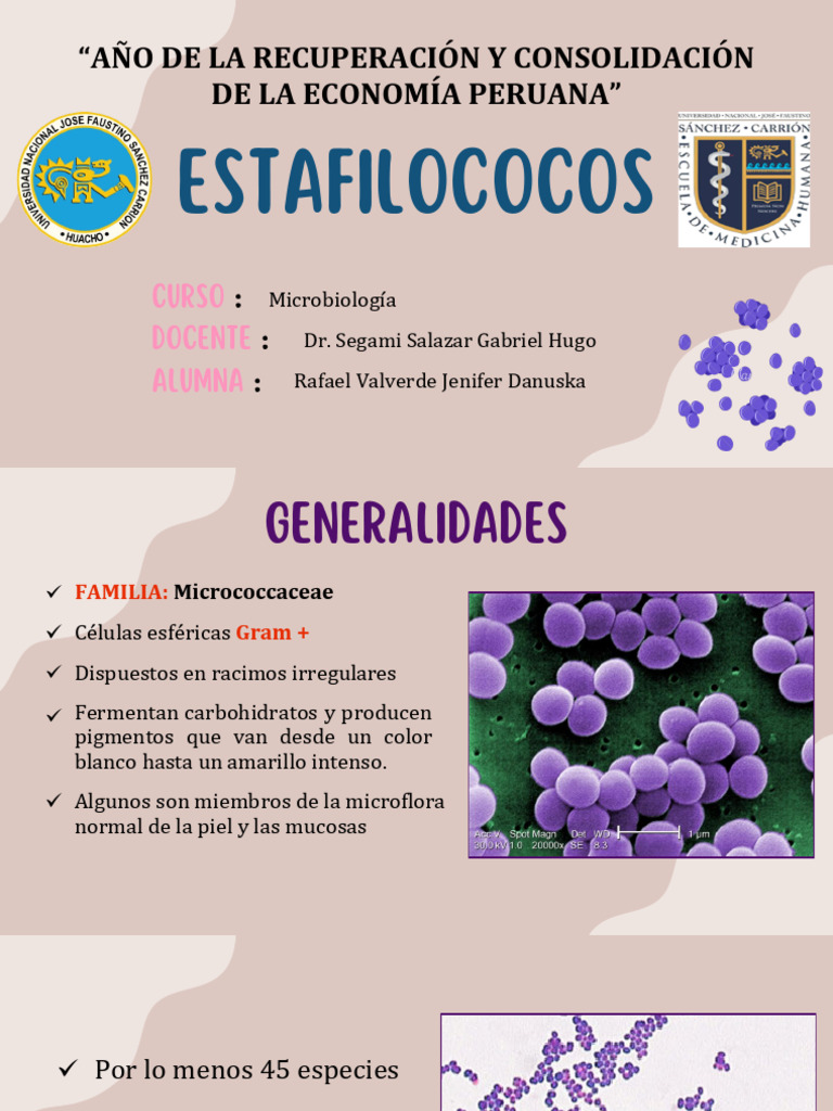 Género Estafilococo | PDF | Staphylococcus Aureus | Biología