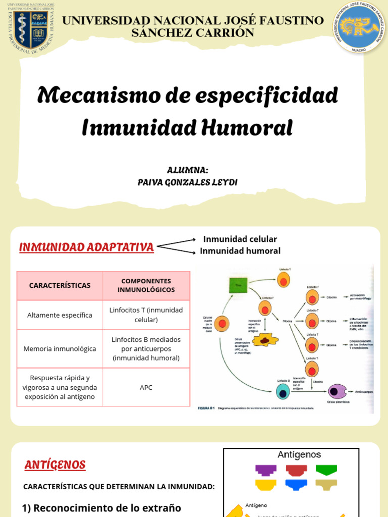 Mecanismo de Especificidad Inmunidad Humoral | PDF | Sistema inmune ...
