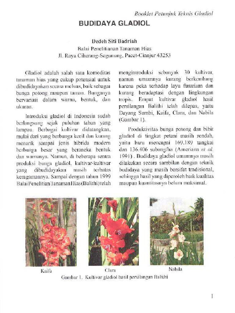 Booklet Juknis Gladiol Bagian-2 | PDF