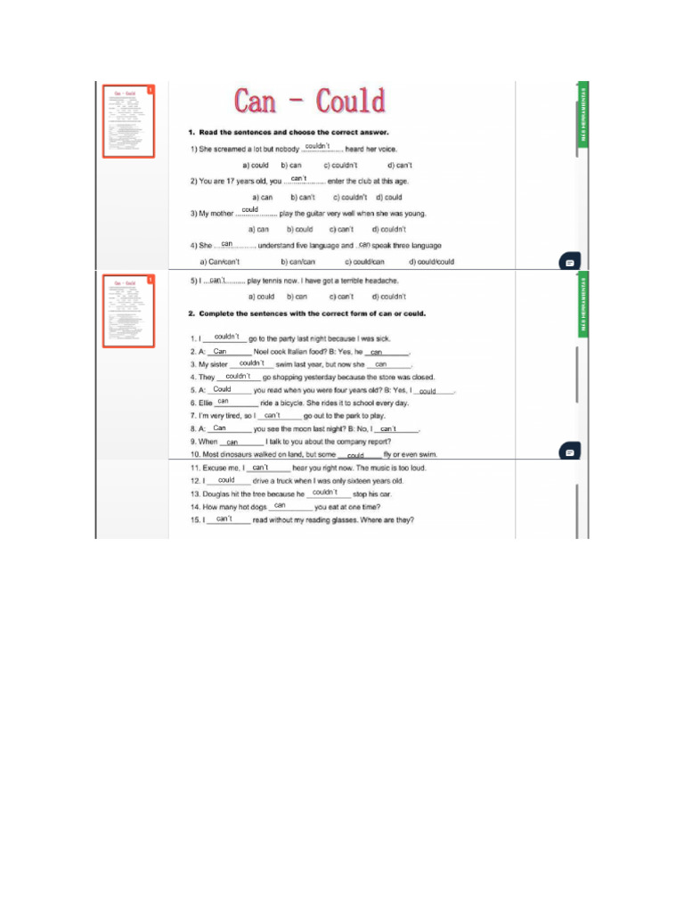 Homework Can Could | PDF