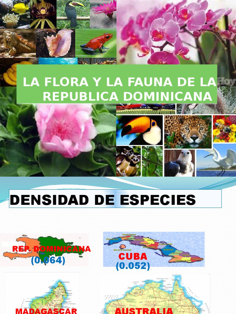 50B55FA4-5C01-4C0F-81B5-9369A3E29BD3 | PDF