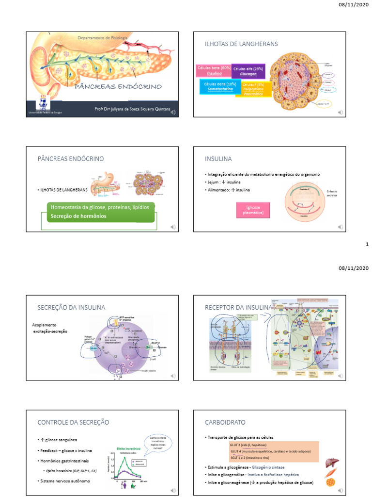 Funções do Pâncreas Endócrino e Hormônios | PDF | Insulina | Biomoléculas