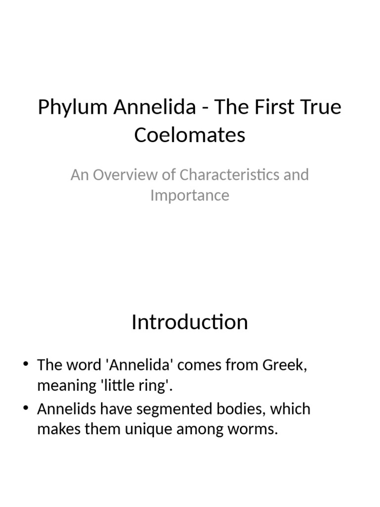 Phylum Annelida Presentation | PDF