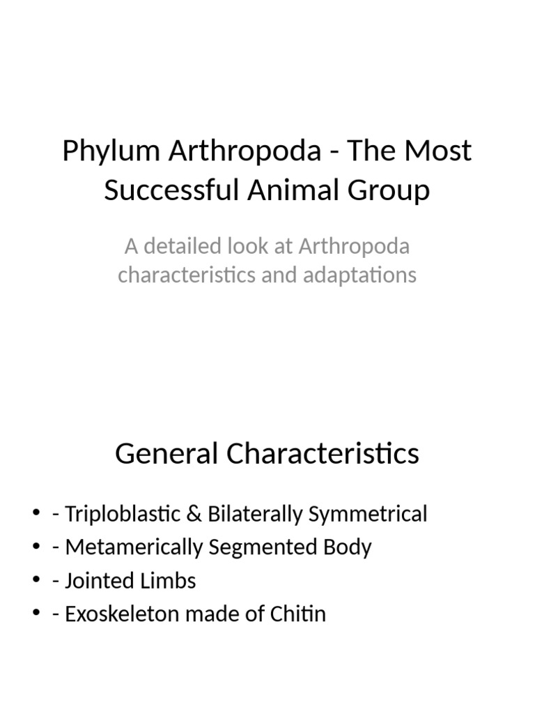Phylum Arthropoda Presentation | PDF