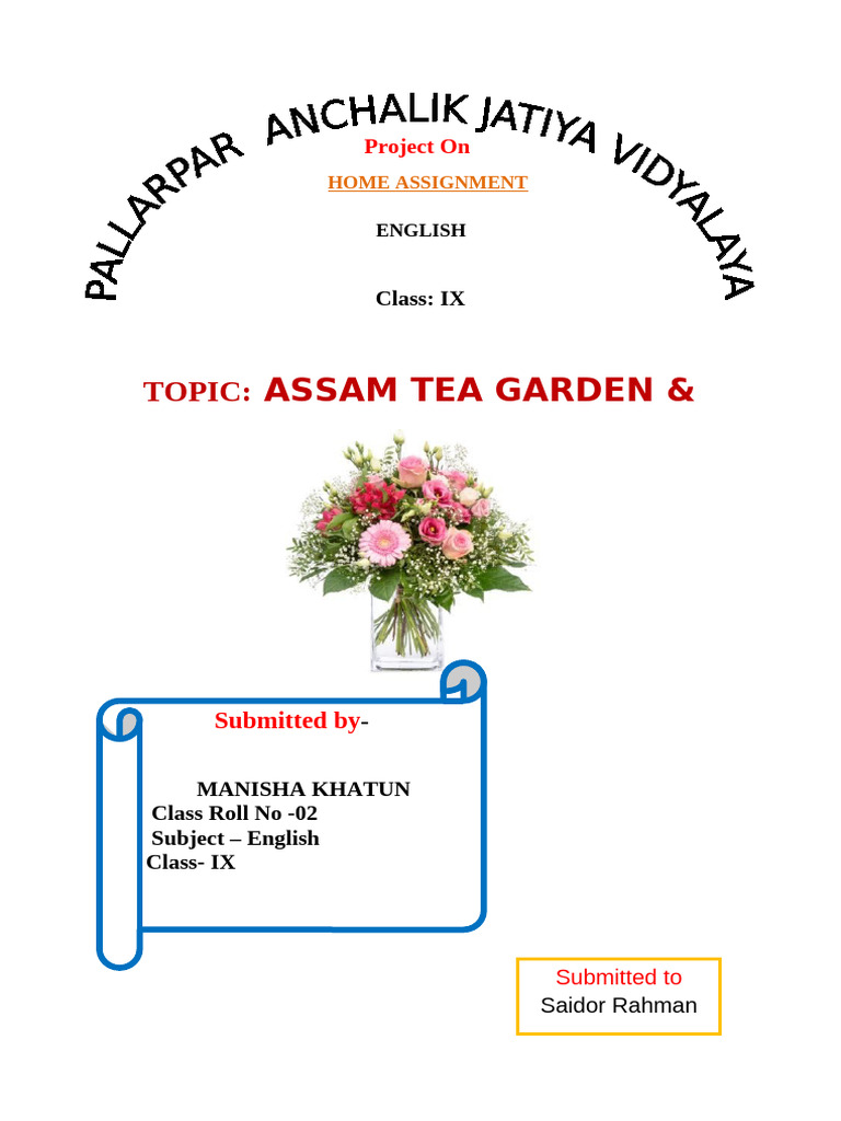 Class Ix Project Fornt Page | PDF