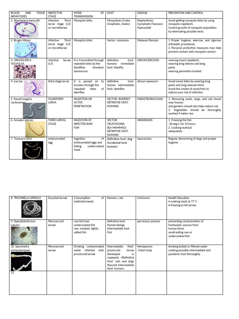 Blood and Tissue Nematodes | PDF | Diseases And Disorders | Human ...