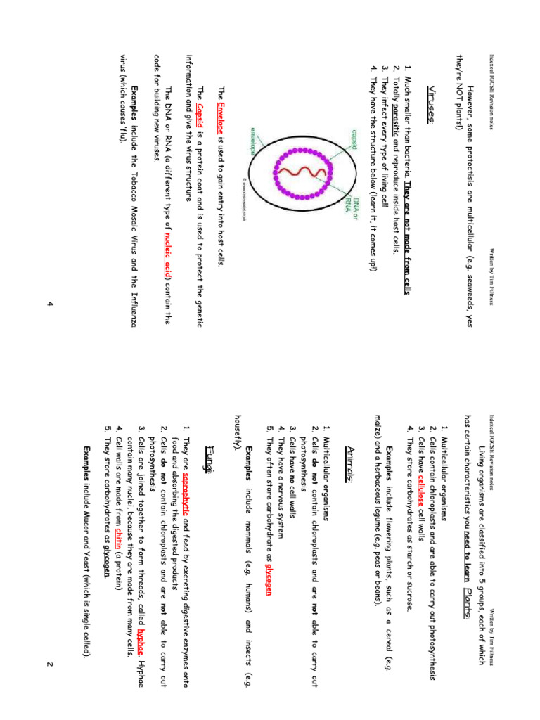 Bio Note - 1b | PDF