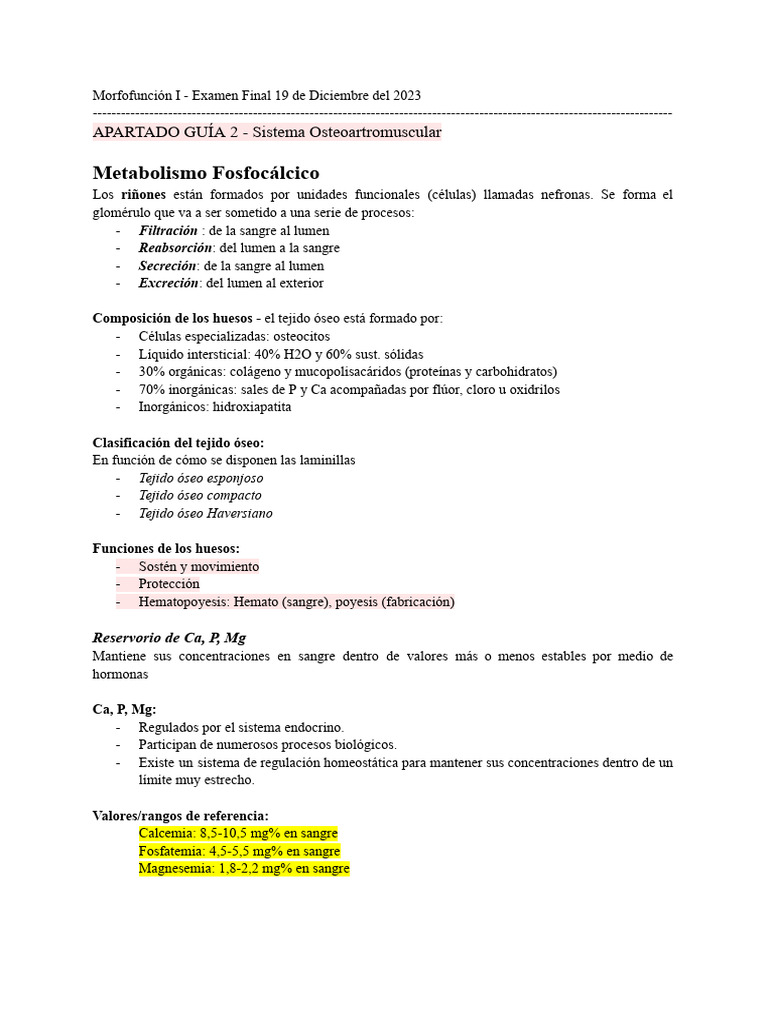 Final Morfo Parte 2 Esta Bueno Completo Con Buenas Imagenes | PDF | Articulación | Hueso