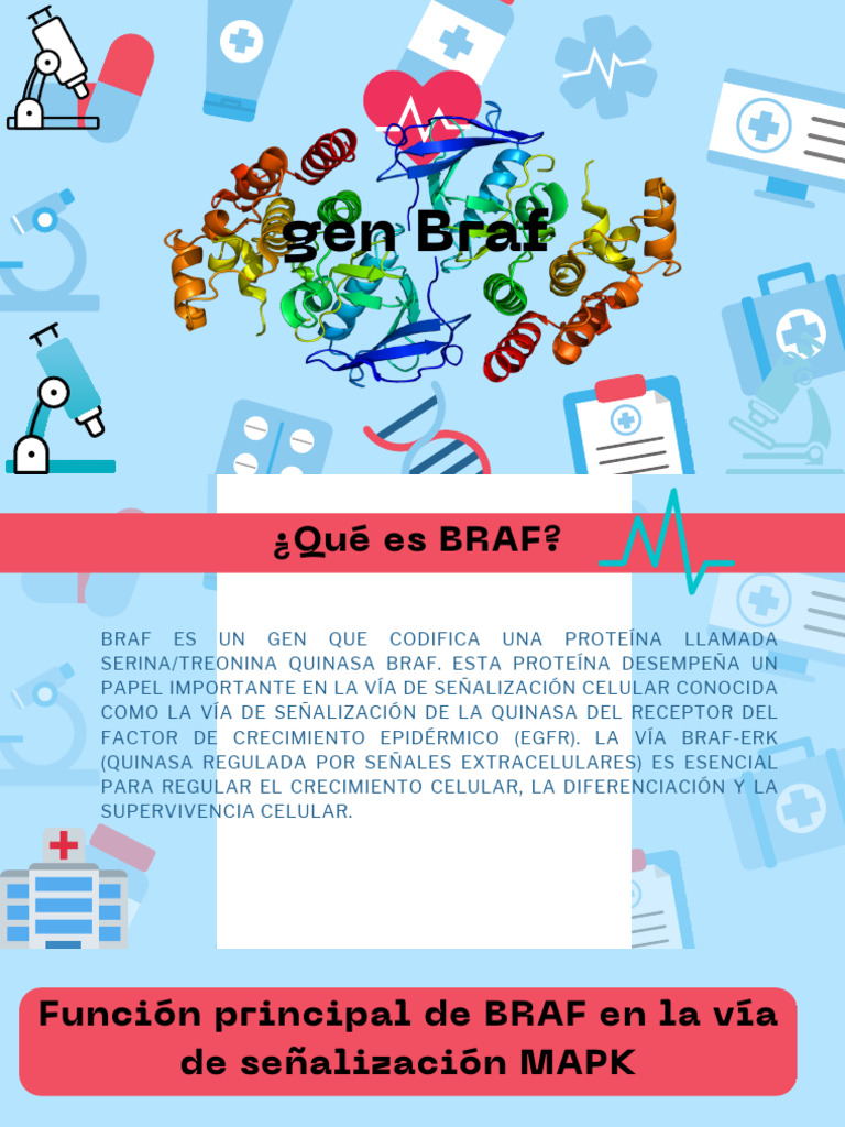 Función y Mutaciones del Gen BRAF | PDF | Cáncer | Quinasa