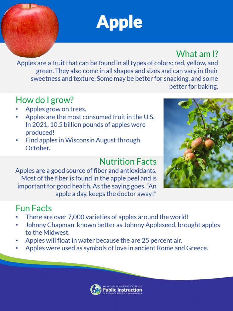 Fact Sheet Apple | PDF