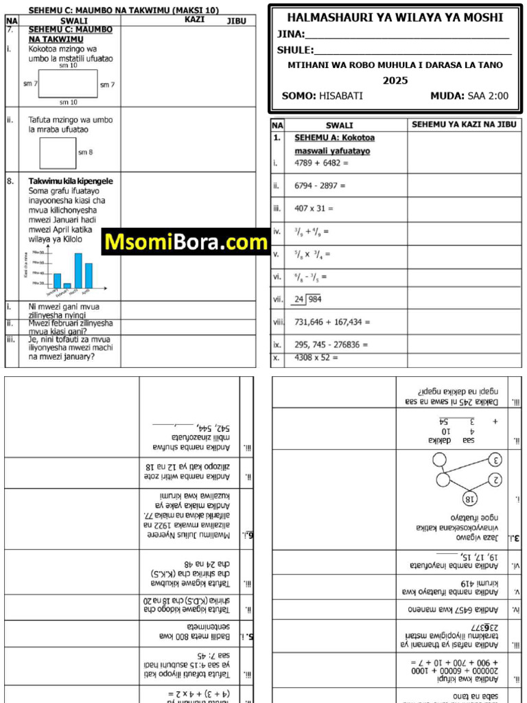 Hisabati Drs V April 2025 | PDF
