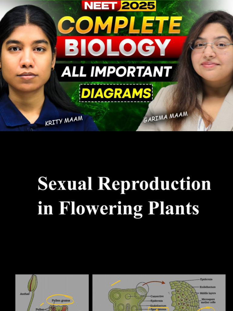 ncert diagram bio | PDF