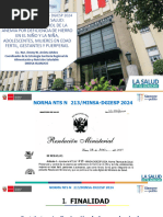 Nueva Normativa Anemia RM 251-2024-Minsa. NTS 213-2024. Modificatoria RM 429-2024-Minsa | PDF ...