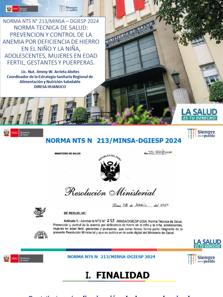 Norma Tecnica de Anemia 213-2024 | PDF | El embarazo | Anemia
