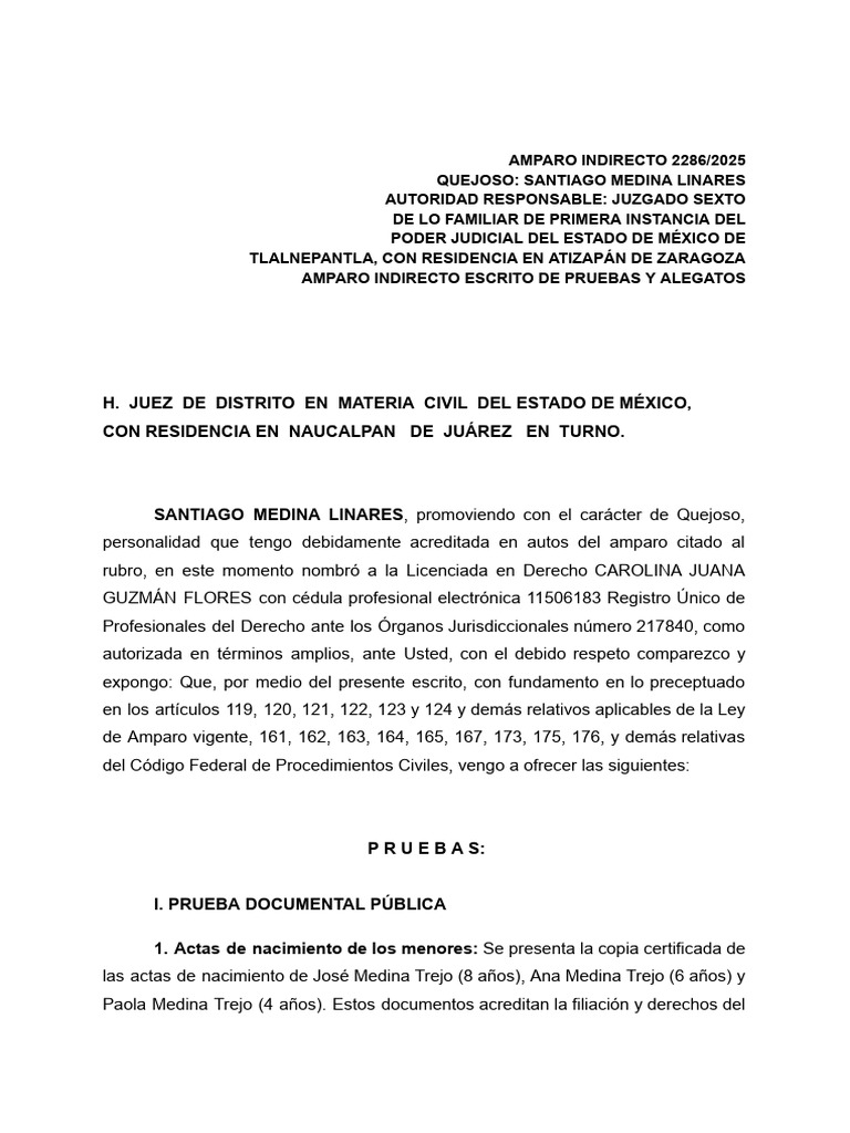 Pruebas y Alegatos P.F. Amparo | PDF | Violación | Sicología