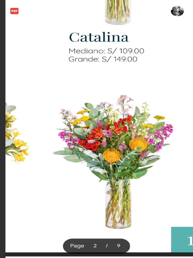Catálogo EF - 2023.pdf - Google Drive | PDF