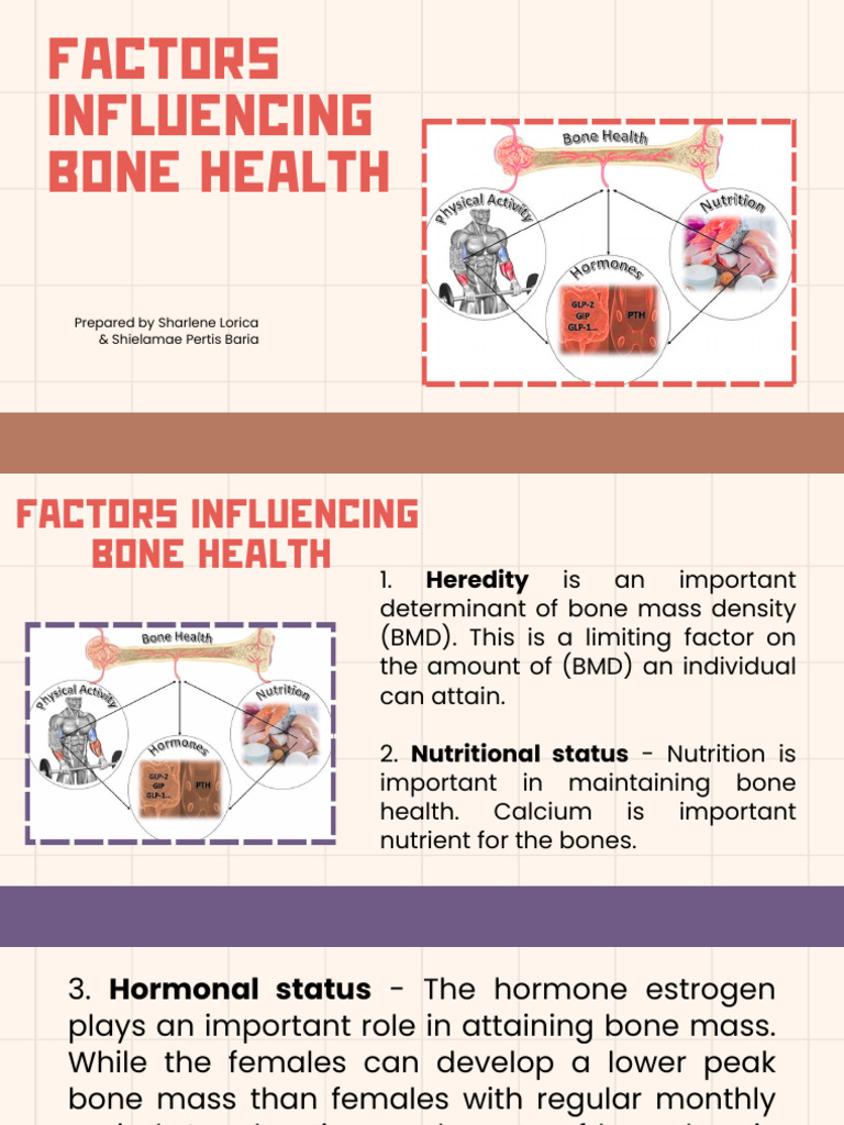 Factors Affecting Bone and Muscle Health | PDF | Skeletal Muscle | Bone