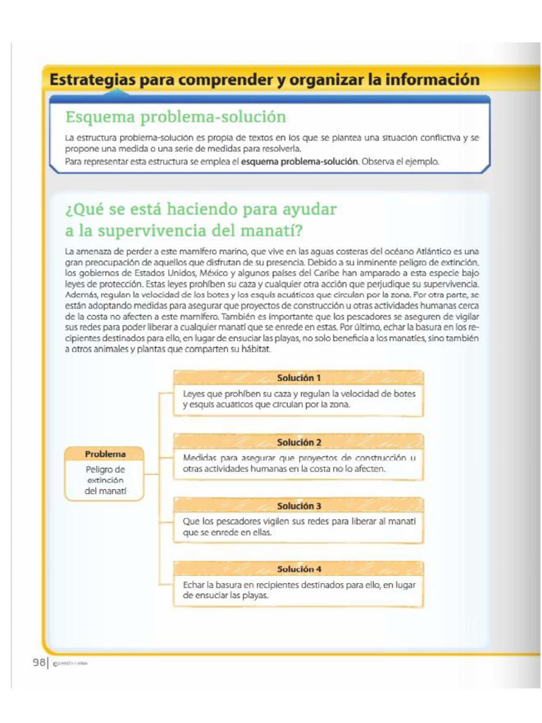 Esquema Problema-Solución | PDF