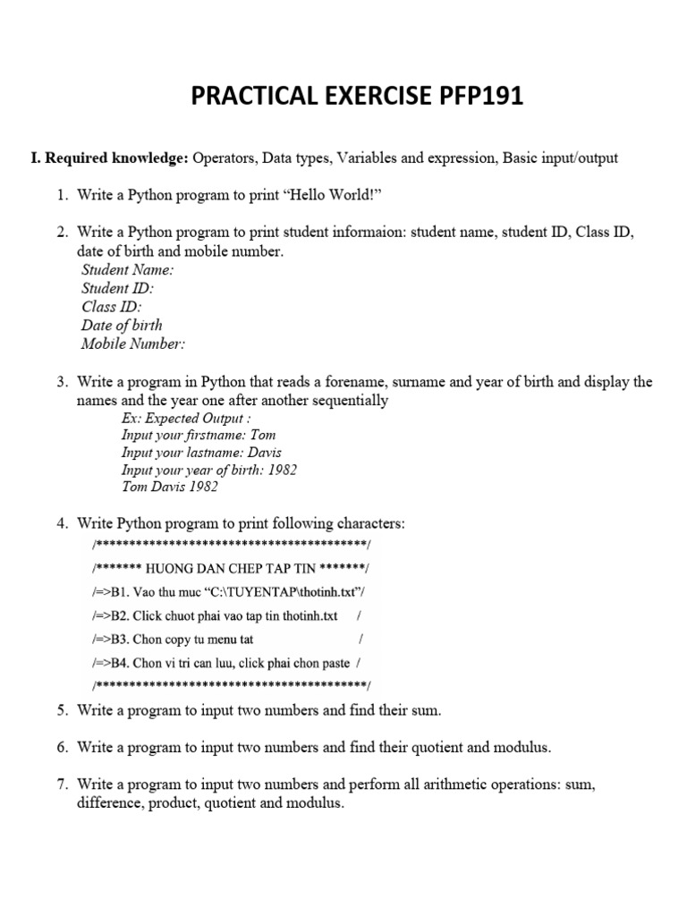 PFP191 - Practical Exercise | PDF | Area | String (Computer Science)