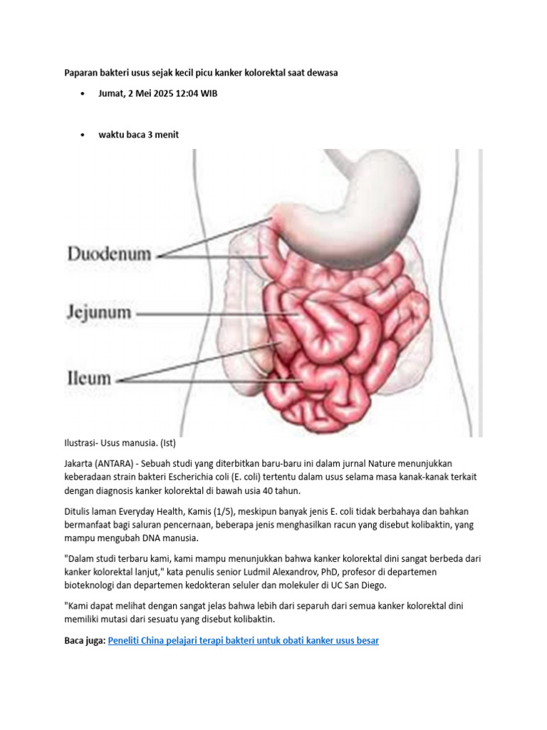 Paparan Bakteri Usus Sejak Kecil Picu Kanker Kolorektal Saat Dewasa | PDF