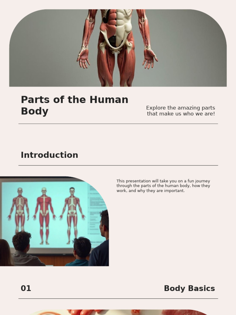 Parts of The Human Body | PDF