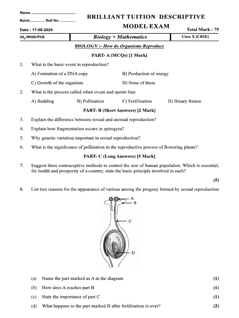 Descriptive Exam Questions 17-08-2024 | PDF