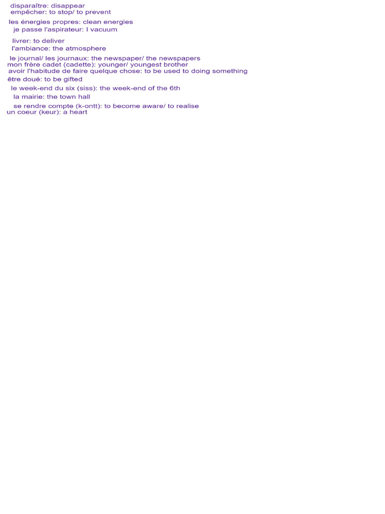 French Lesson 8 Vocab | PDF