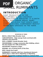 Normal Vital Signs for Goats | PDF | Goat | Thermoregulation