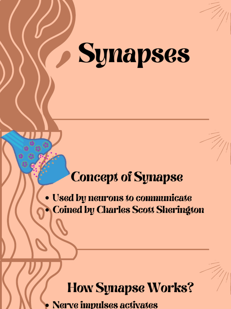 Week 3 - Communication and Synapses (Group 8) | PDF | Neurotransmitter | Chemical Synapse