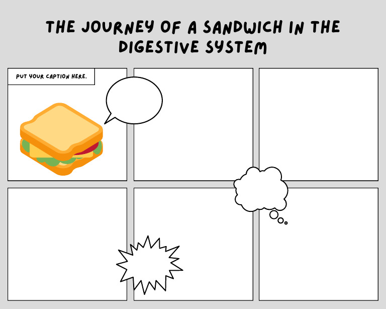 The Journey of A Sandwich | PDF