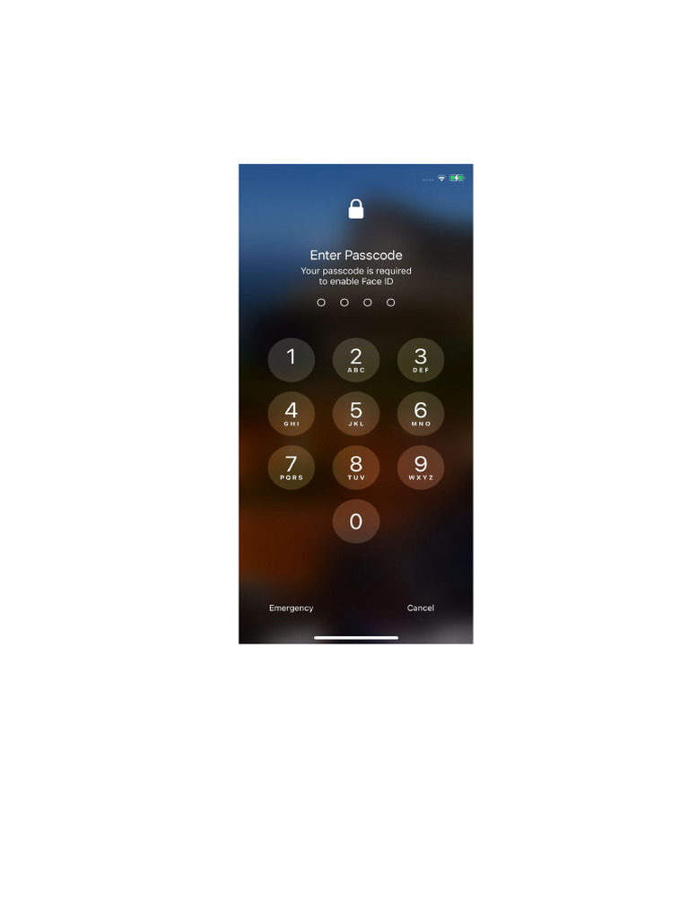 Iphone | PDF