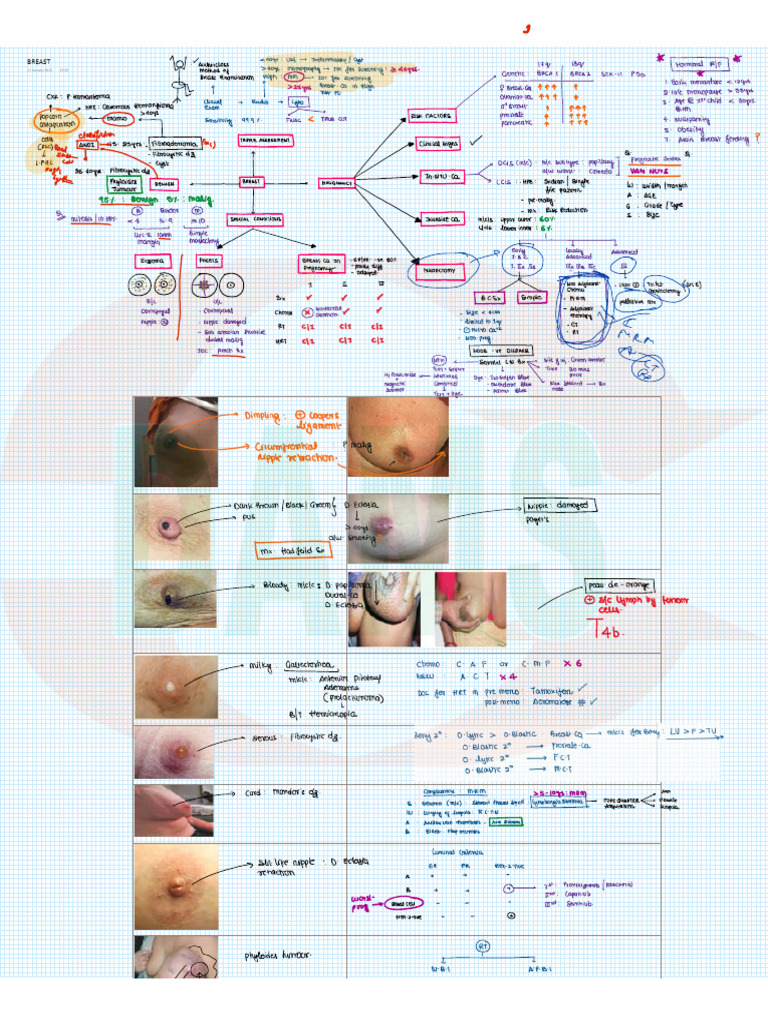 19 Jan - Surgery 2 (DR Sreeram Reddy) DAMS DVT 2022 | PDF