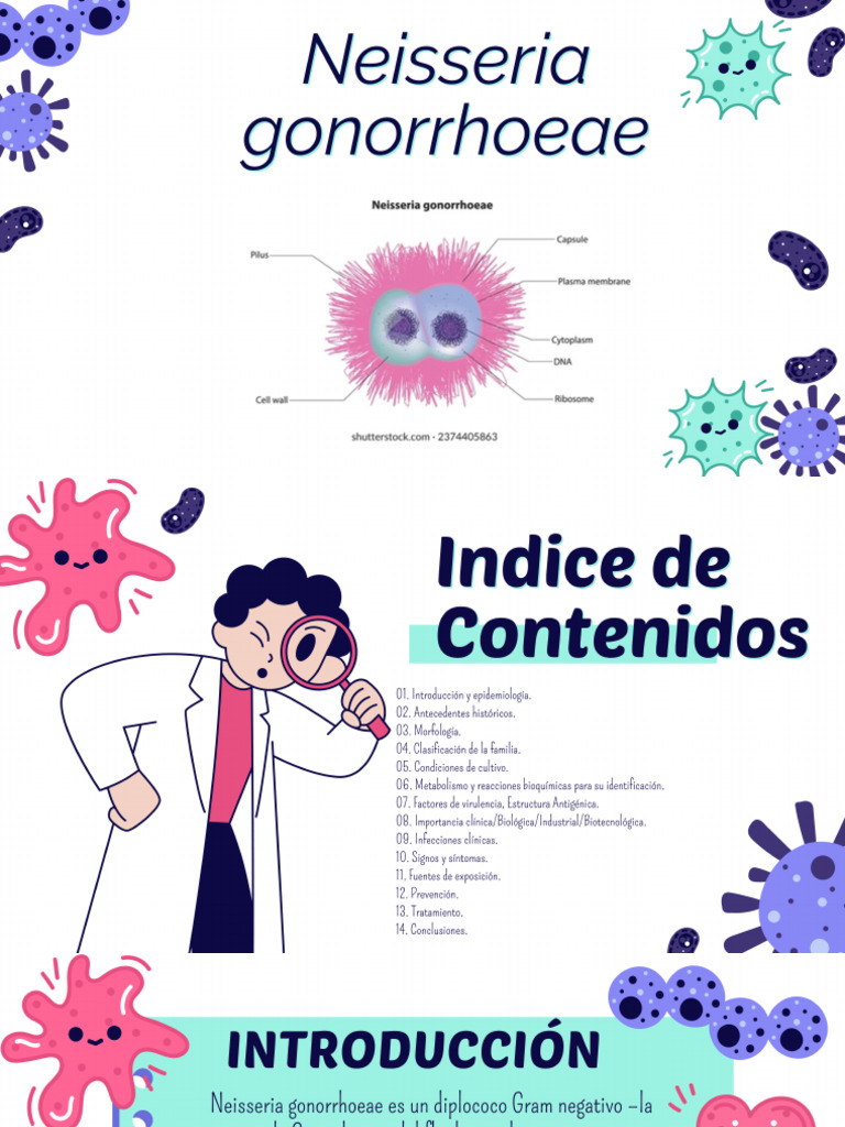 Neisseria gonorrhoeae_20250312_075715_0000 | PDF