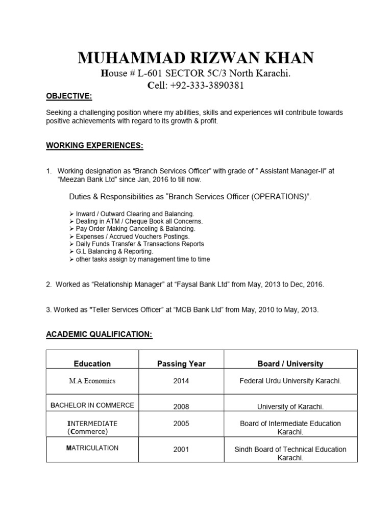 Muhammad Rizwan Khan CV | PDF