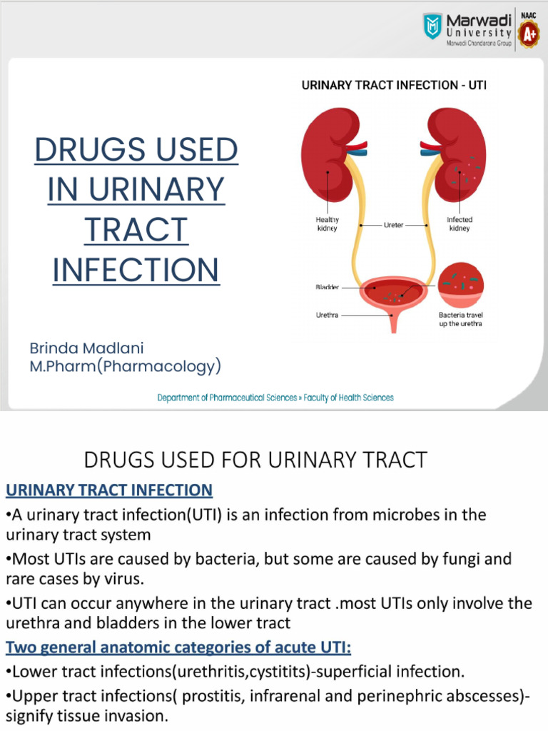 EContent 11 2025 04 30 18 30 52 UNIT4UTIpdf 2025 04 18 09 38 06 | PDF