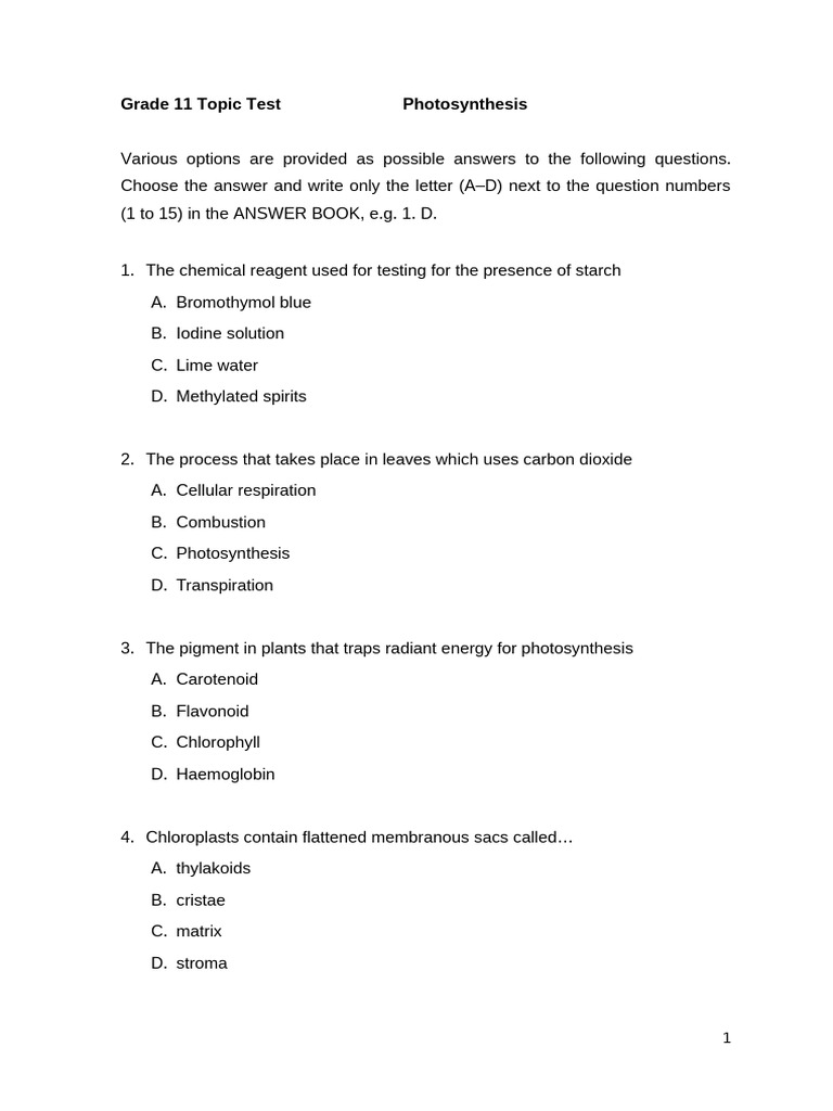 Grade 11 Photosynthesis Test Questions | PDF | Photosynthesis | Leaf