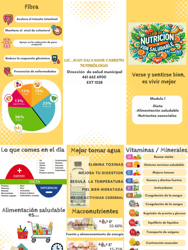 Tripticos Club de Nutricion | PDF | Alimentos | Nutrición