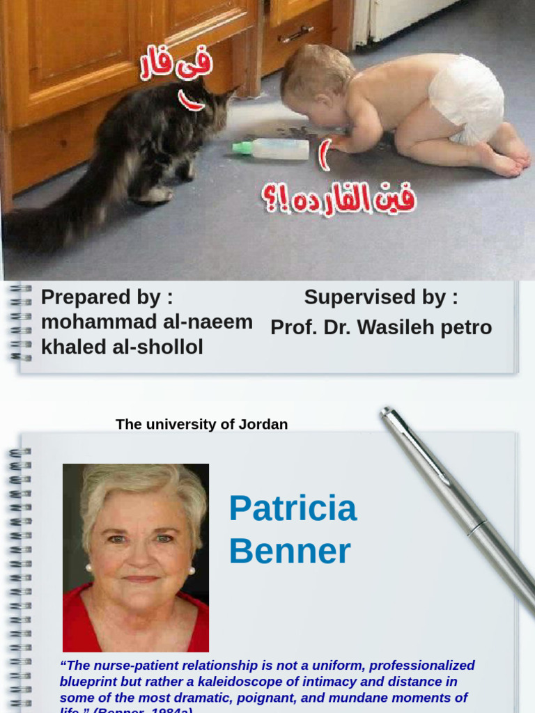 Understanding Benner's Nursing Theory | PDF | Concept | Experience