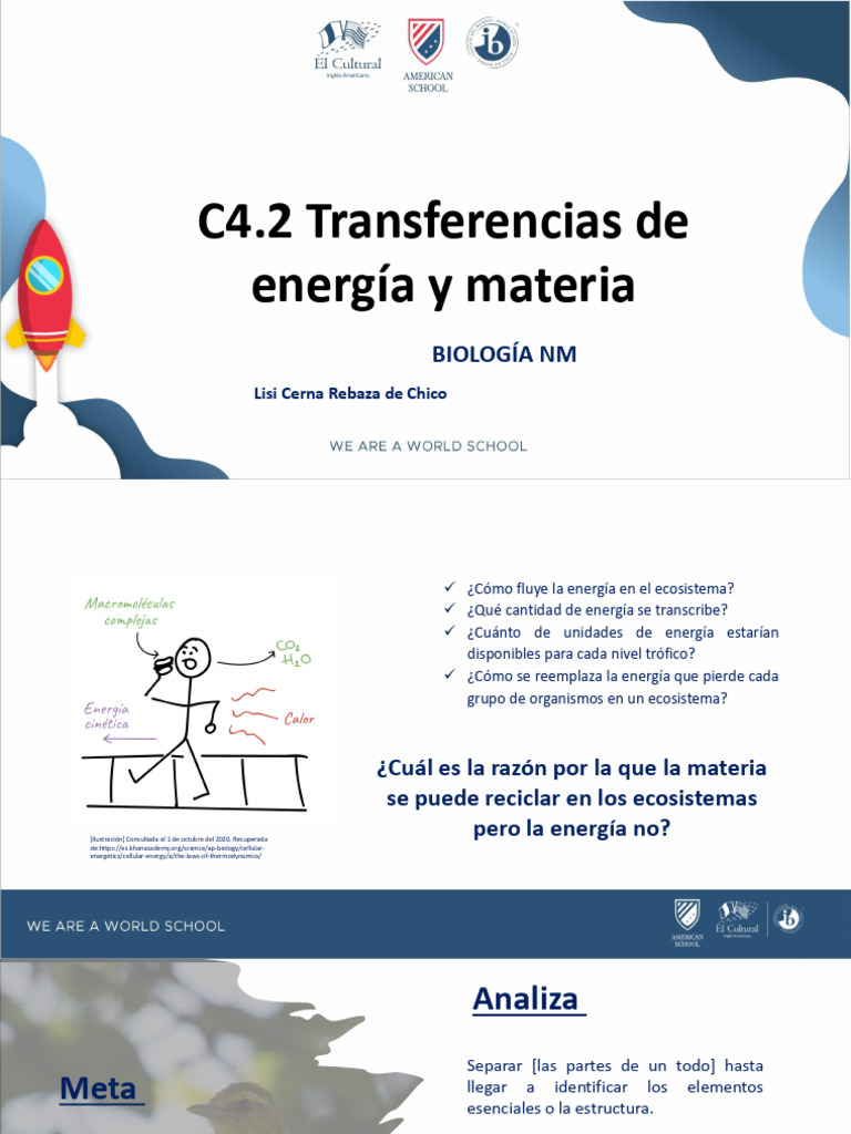 C3 Gr.10 IB 2025 | PDF | Ecología de sistemas | Entorno natural