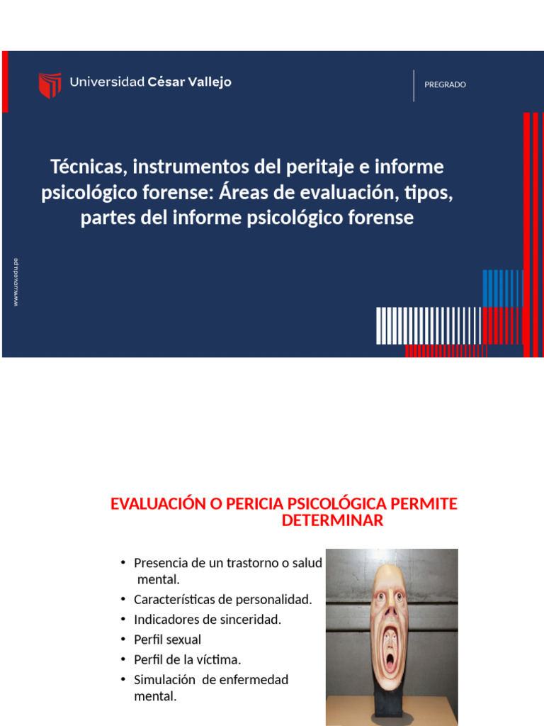 Sesion 04-Tecnicas e Instr. Eval Psicologica | PDF | Sicología | Evaluacion psicologica