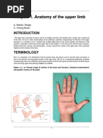 Palmar Hand Anatomy Overview | PDF | Hand | Musculoskeletal System